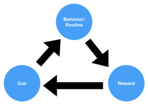 Behavior Modification - The Behavioral Scientist